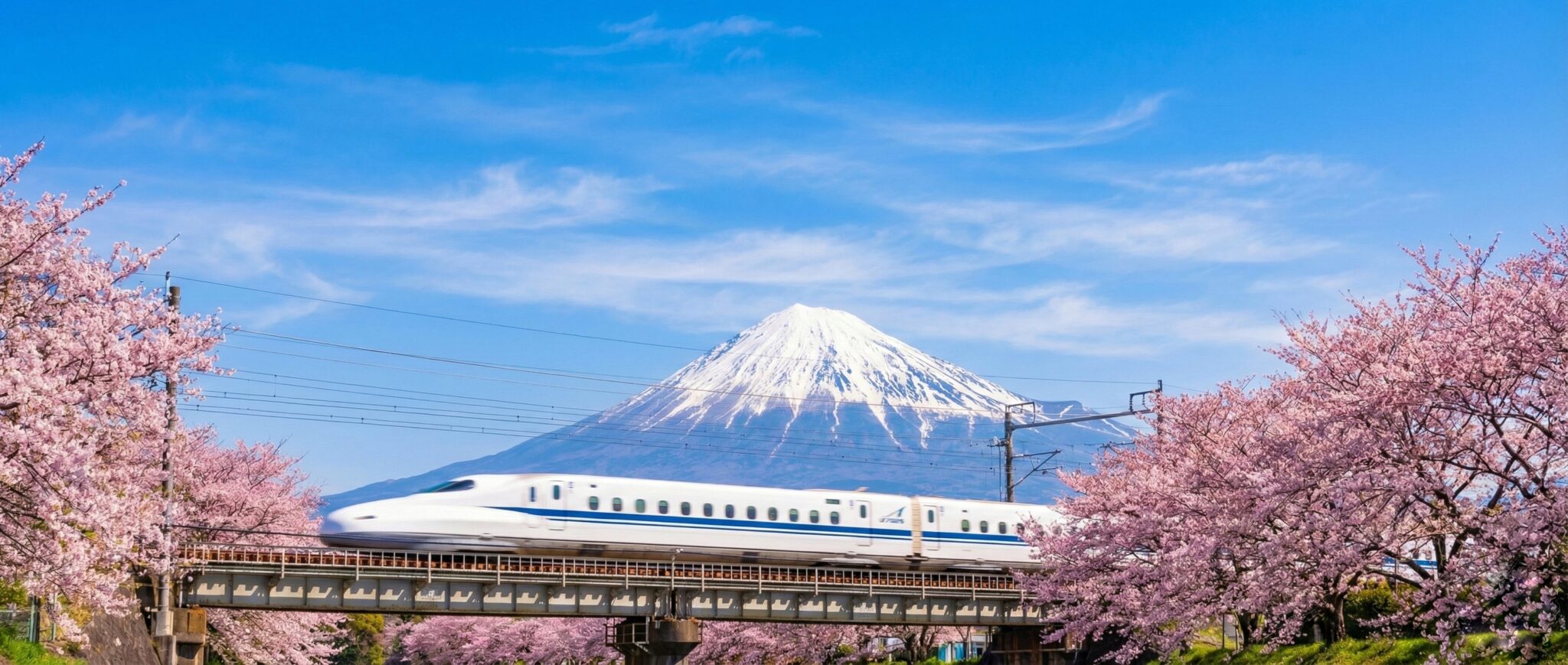 Shinkansen Booking Guide 2026 | T | Japan Travel Shiba